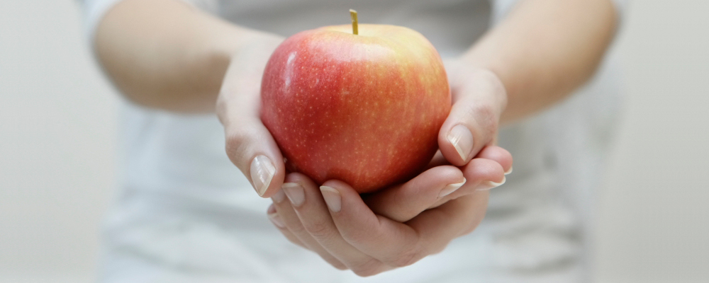 Dynamic Controlled Atmosphere - Besseling | The art of storage